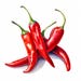 Watercolor Red Hot Chilli Peppers Clipart: Printable JPG Images ...