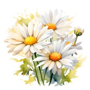 Watercolor Daisy Clipart: Spring Wildflower Images (jpgs, Commercial ...