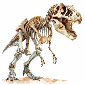 T-rex Skeleton Clipart, Dinosaur Bones Images, 10 Watercolor Clip Art ...