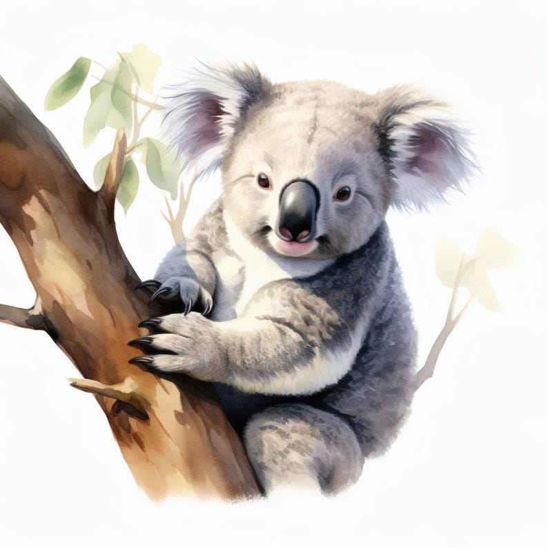 Cute Koala Clipart, Australian Animal Images, 10 Watercolor Clip Art ...
