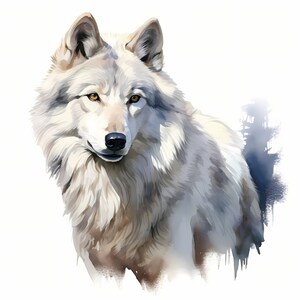 Watercolor White Wolf Clipart: Arctic Wolves, Printable Jpgs ...