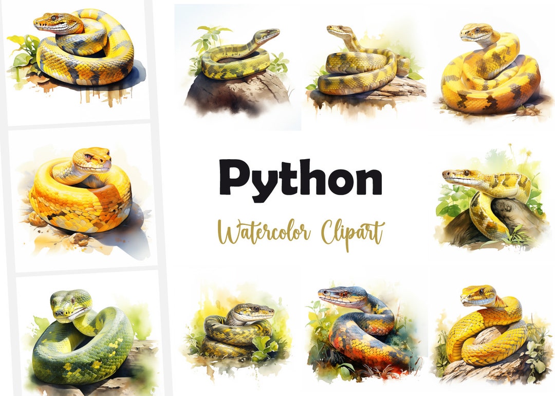 Python Clipart, Snake Images, 10 Watercolor Clip Art, Printable Jpgs ...