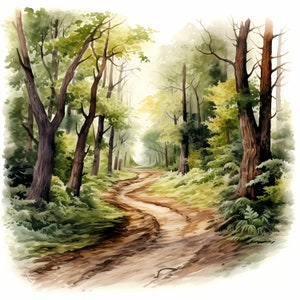 Forest Path Clipart, Path in Woods Images, 10 Watercolor Clip Art ...