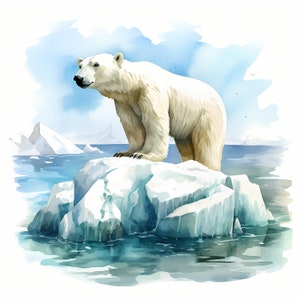 Polar Bear Clipart, Bear on Iceberg Images, 10 Watercolor Clip Art ...
