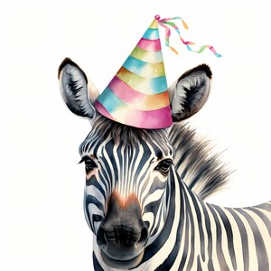 Zebra With Party Hat, Funny Zebra Watercolor Clipart Set With 10 JPG ...