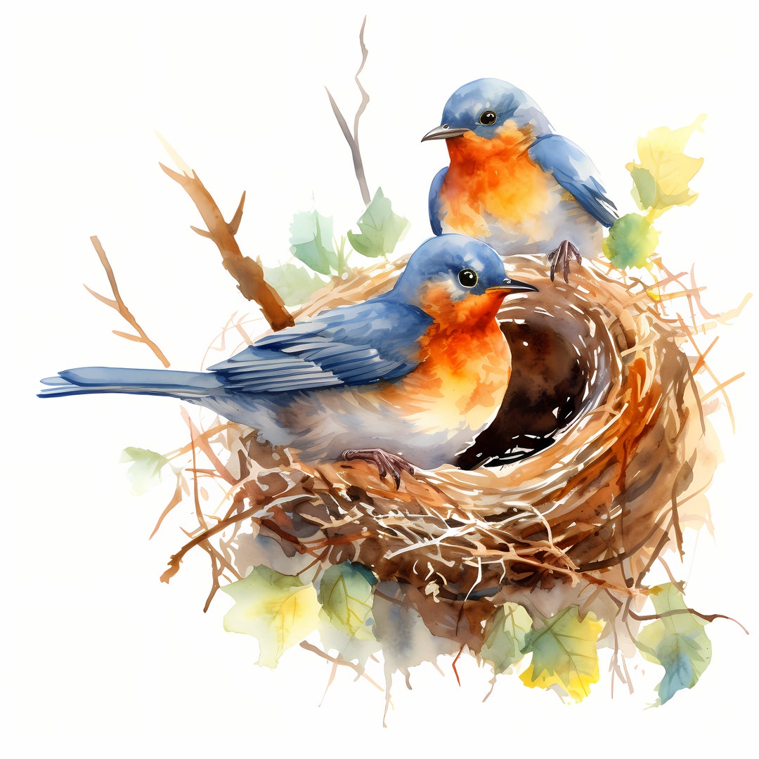 Birds in Nest Clipart, Bird House Images, 10 Watercolor Clip Art ...