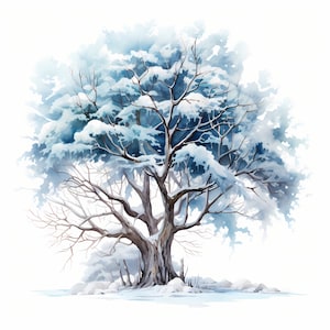 Frozen Tree Clipart, Winter Tree Images, 10 Watercolor Clip Art ...
