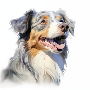 Watercolor Australian Shepherd Clipart: Dog Breed Art (jpgs) - Etsy