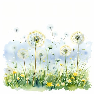 Watercolor Dandelion Clipart: Floral JPG Images (commercial Use) - Etsy