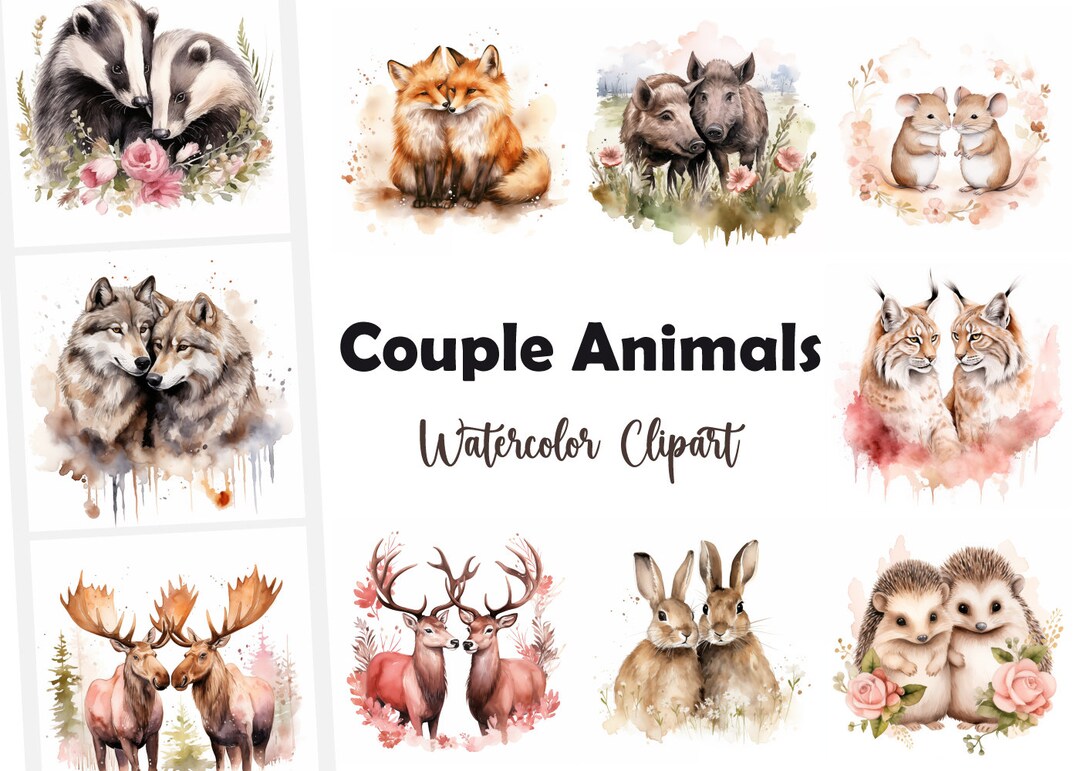 Animal Couple Clipart, Romantic Animals Images, 20 Watercolor Clip Art ...