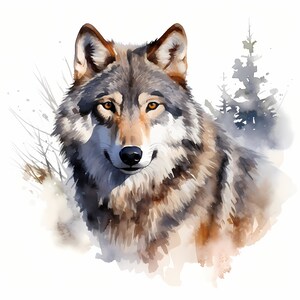 Winter Wolf Clipart, Wolves in Winter Images, 10 Watercolor Clip Art ...