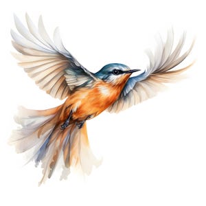 Bird in Flying Clipart, Flying Birds Images, 10 Watercolor Clip Art ...