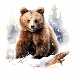 Winter Bear Clipart, Brown Bear Images, 10 Watercolor Clip Art ...