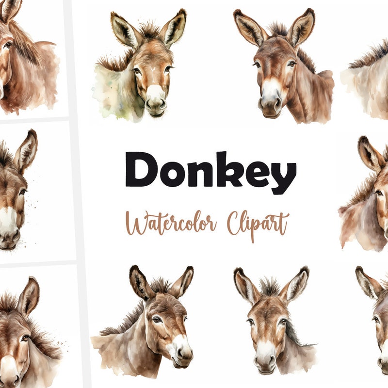 Watercolor Donkey - Etsy