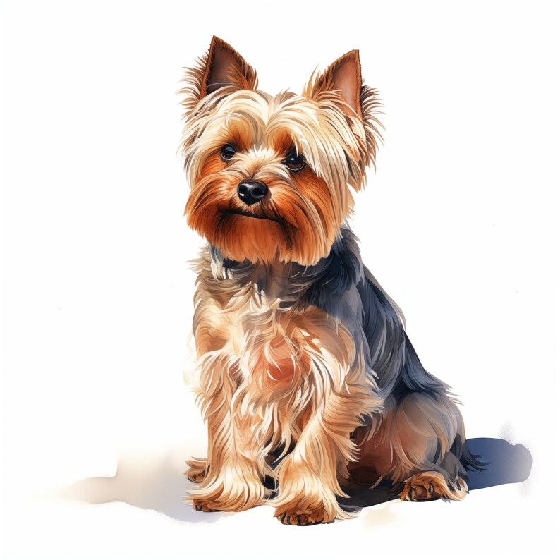 Yorkshire Terrier Watercolor Clipart: 10 Yorkie Dog Jpgs (commercial ...