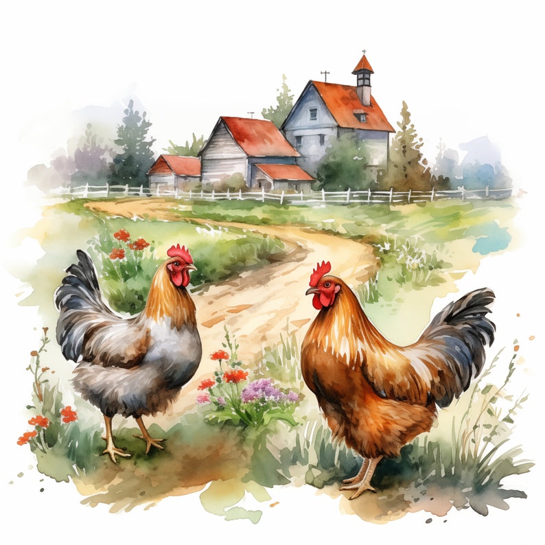 Chickens Clipart, Farm Chickens Images, 10 Watercolor Clip Art ...