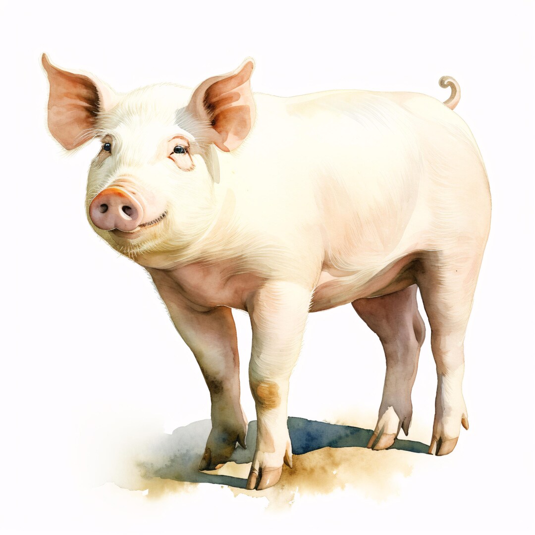 Watercolor Pig Clipart: Farm Animal JPG Images (commercial Use, Instant ...