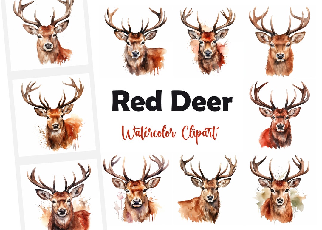 Red Deer Head Clipart, Red Deer Head Images, 15 Watercolor Clip Art ...