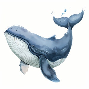 Whale Clipart, Cartoon Whales Images, 10 Watercolor Clip Art, Printable ...