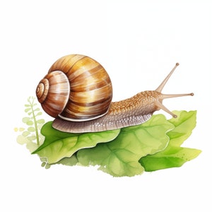 Snail Clipart, Garden Snails Images, 10 Watercolor Clip Art, Printable ...