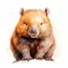 Watercolor Wombat Clipart: 10 JPG Images, Commercial Use (instant ...