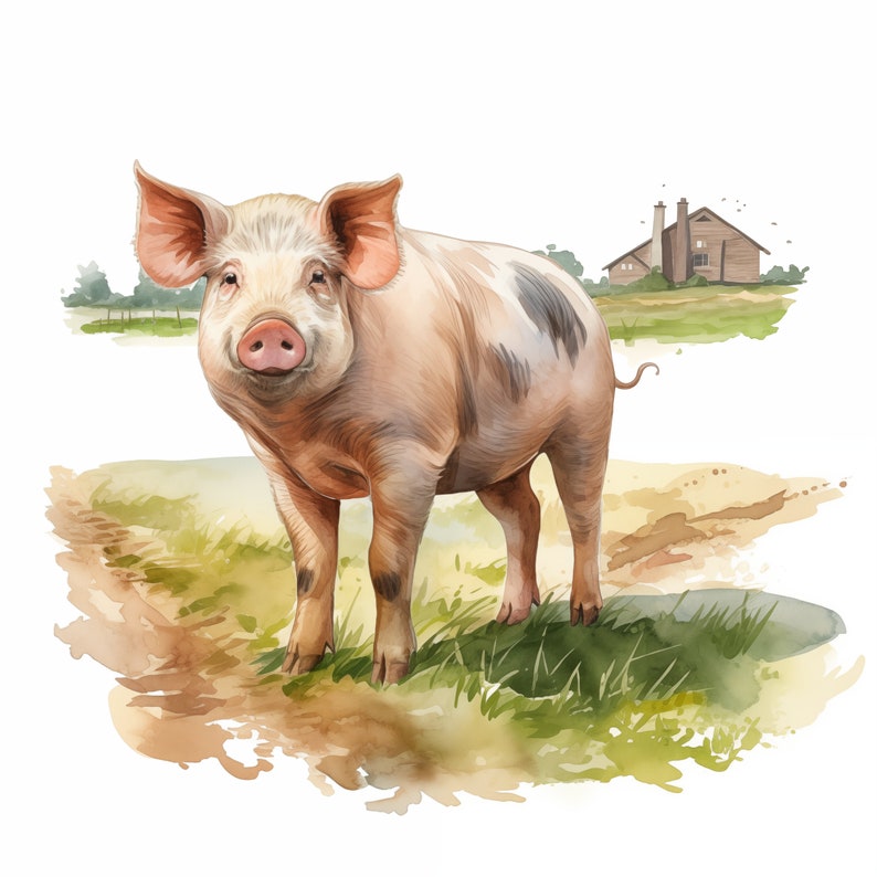 12 Farm Pig Clipart, Pig Clipart, Watercolor Clipart, High Quality Jpgs ...