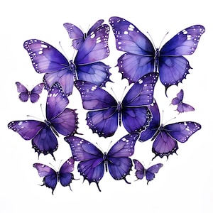 Watercolor Violet Butterflies Clipart: Printable JPG Images (commercial ...