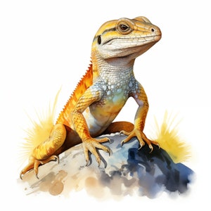 Lizard Clipart, Reptiles Images, 10 Watercolor Clip Art, Printable Jpgs ...