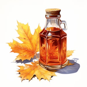 Maple Syrup Clipart, Canadian Maple Syrup Images, 10 Watercolor Clip ...