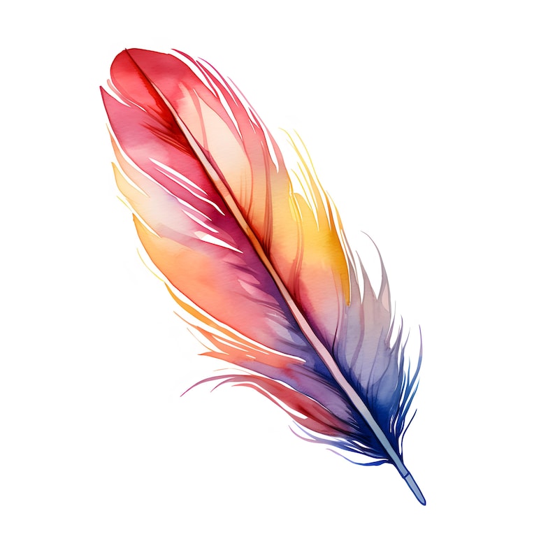 Watercolor Rainbow Feather Clipart: Bird Feather Images (jpgs) - Etsy