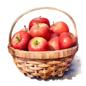 Red Apples Clipart, Apples in Basket Images, 10 Watercolor Clip Art ...