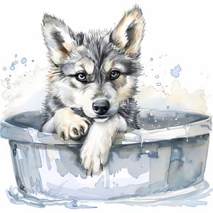 Wolf in Bathtub Clipart, Wolf Washing Images, 10 Watercolor Clip Art ...
