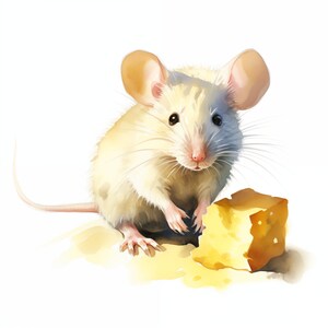 Mouse With Cheese Clipart, Mouse Eating Cheese Images, 10 Watercolor ...