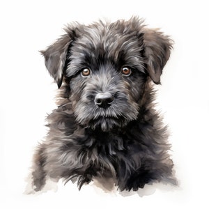 Bouvier Des Flandres Dog Clipart, Puppy Dog Images, 10 Watercolor Clip ...