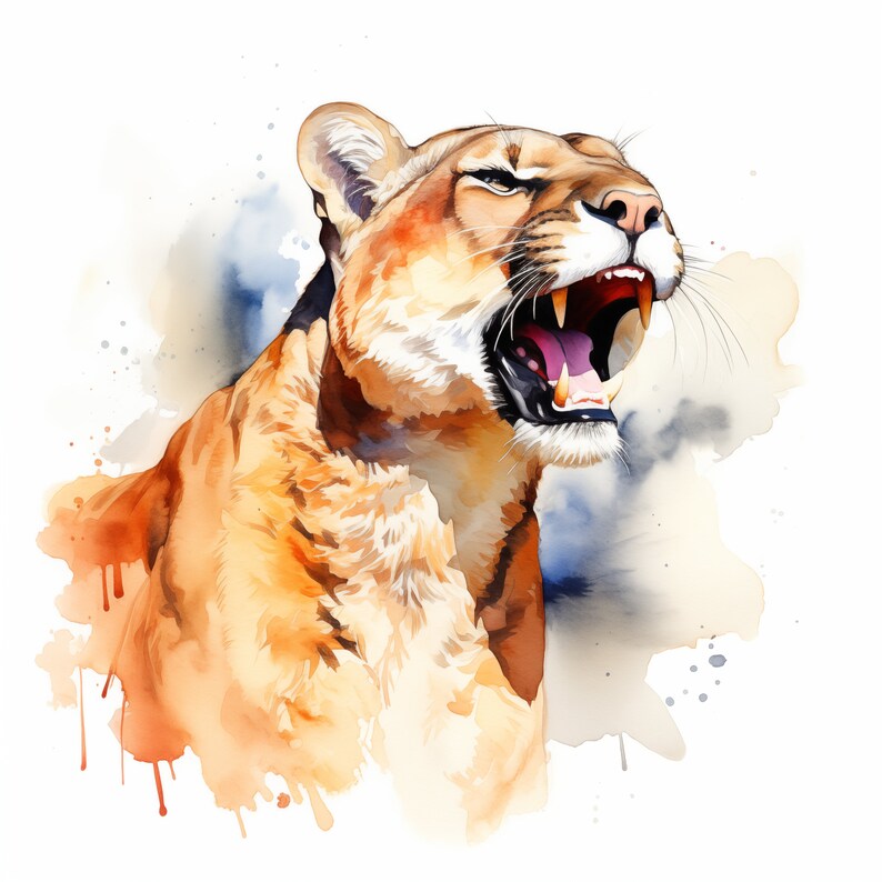 Mountain Lion Clipart, Cougar Images, 10 Watercolor Clip Art, Printable ...
