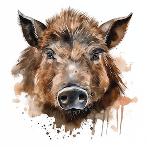 Wild Boar Clipart, Forest Boar Images, 12 Watercolor Clip Art ...