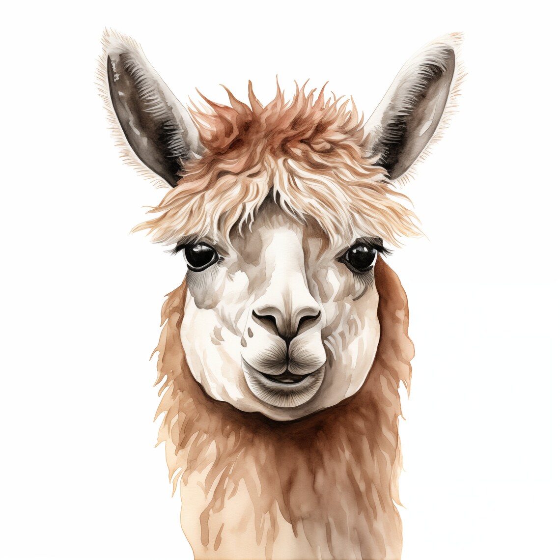 Watercolor Llama Clipart: Printable JPG Images, Commercial Use (digital ...