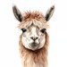Watercolor Llama Clipart: Printable JPG Images, Commercial Use (digital ...
