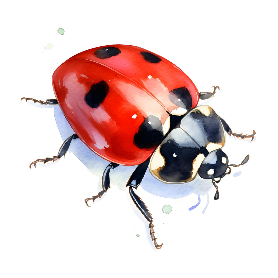 Ladybug Clipart, Lady Bug Images, 10 Watercolor Clip Art, Printable ...