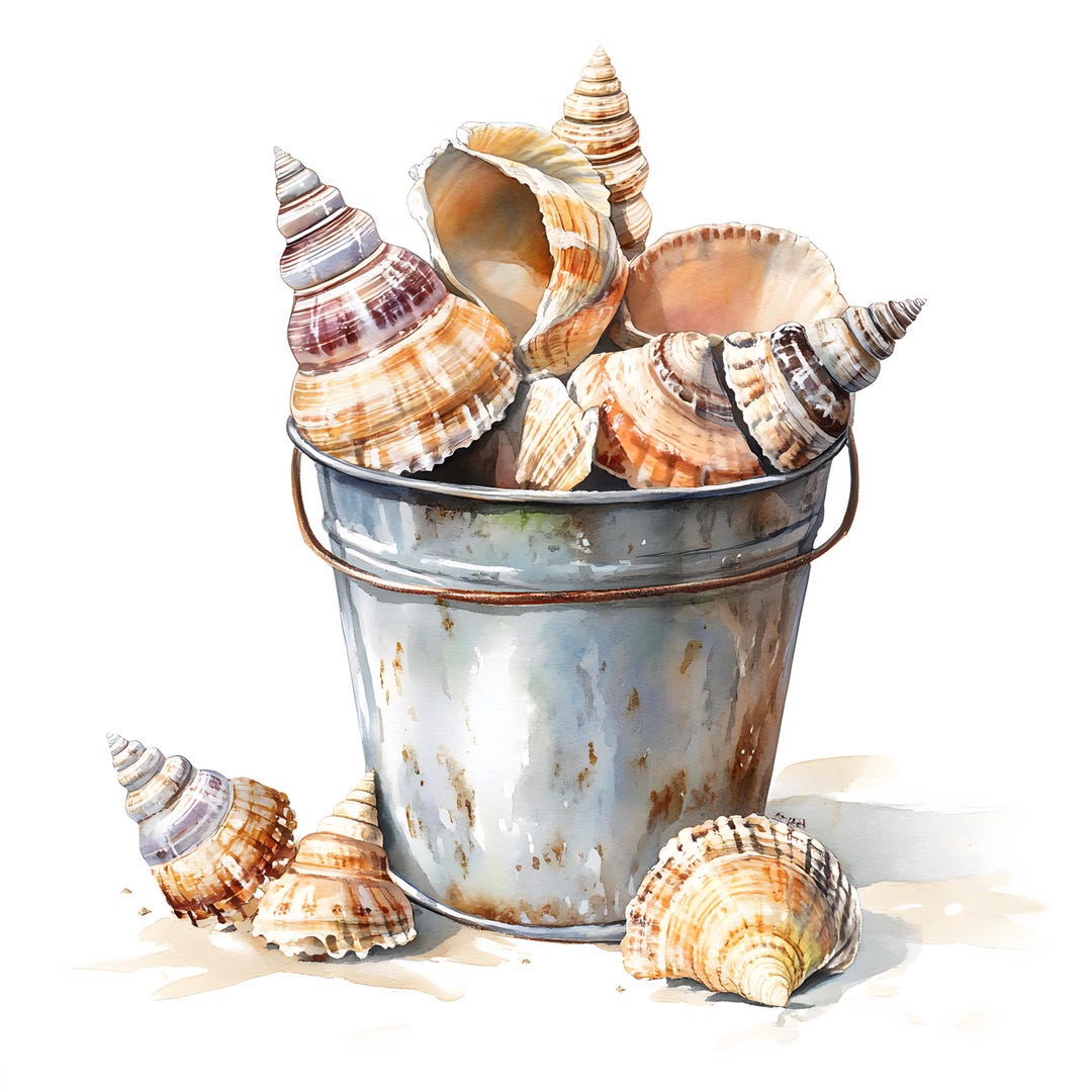 Seashells in Bucket Clipart: Watercolor Sea Shells Images (jpgs) - Etsy