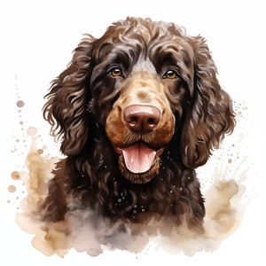 Irish Water Spaniel Clipart, Spaniel Dog Images, 10 Watercolor Clip Art ...