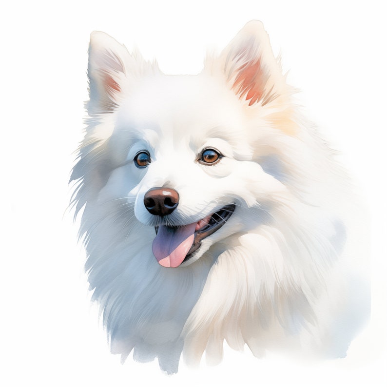 Japanese Spitz Clipart, Japanese Dog Images, 10 Watercolor Clip Art ...