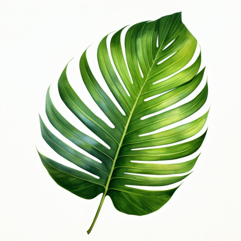 Palm Leaf Clipart, Tropical Green Leaf Images, 10 Watercolor Clip Art ...