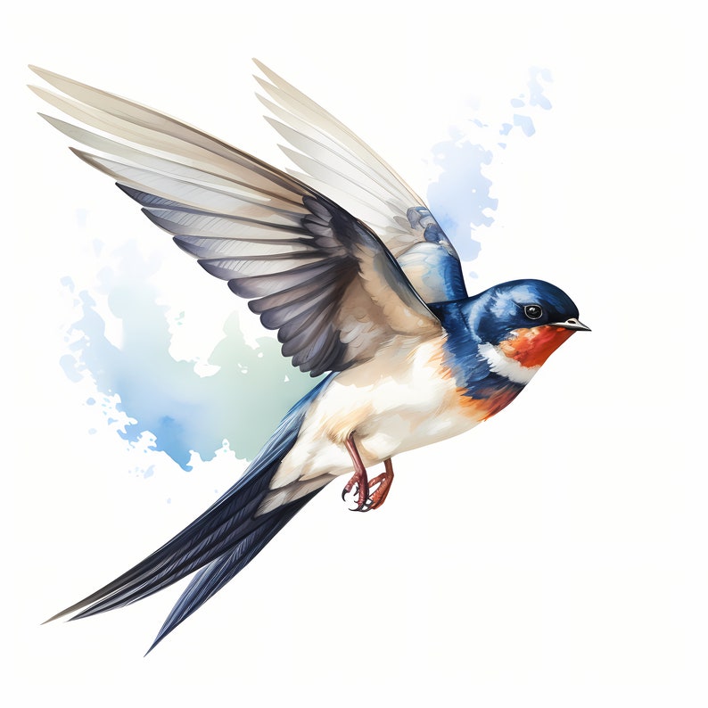 Swallow in Flight Clipart, Bird Flying Images, 10 Watercolor Clip Art ...