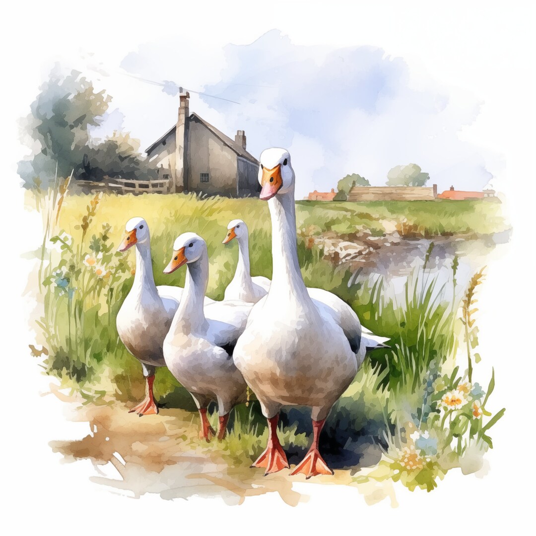 Geese Clipart, Farm Goose Images, 12 Watercolor Clip Art, Printable ...