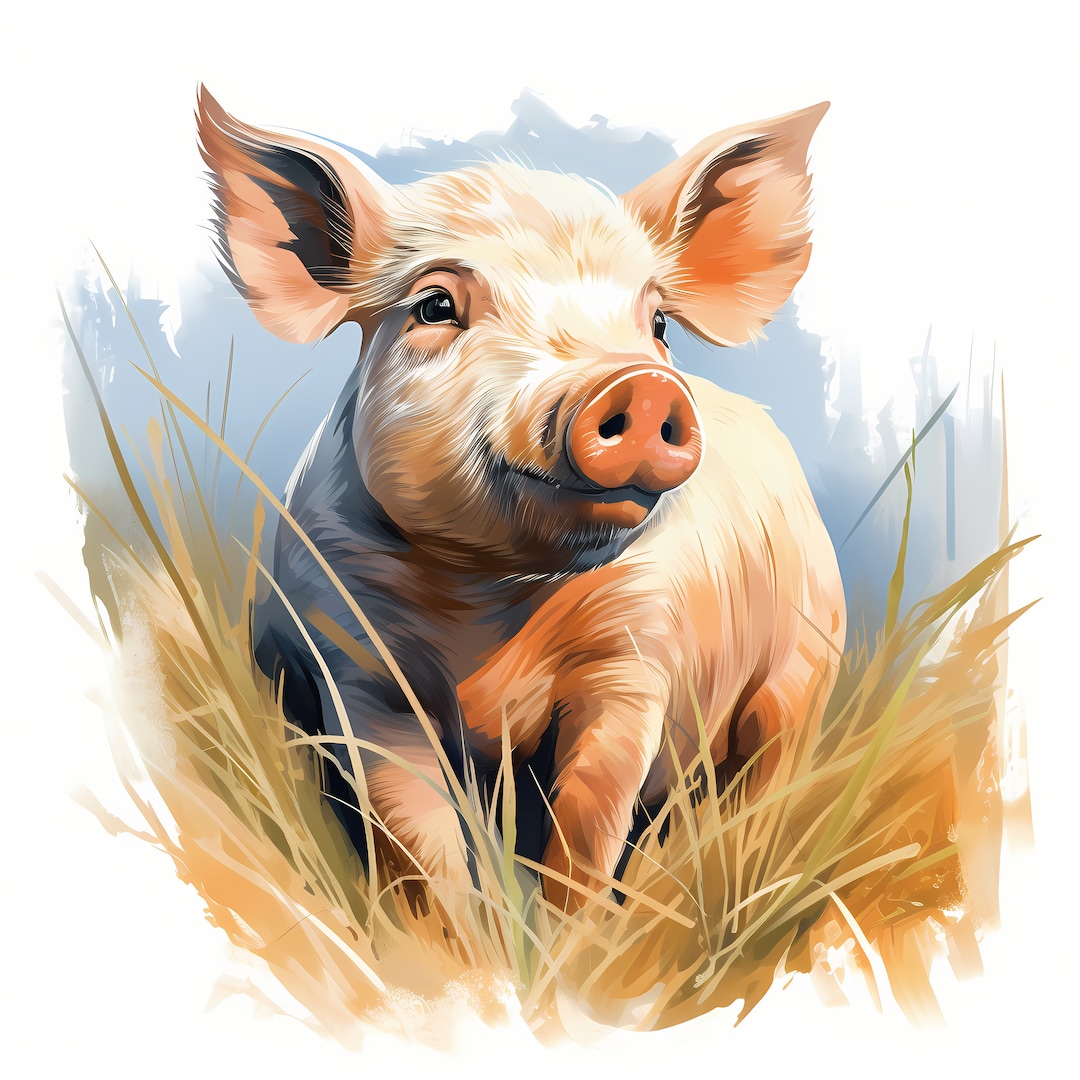 Farm Pig Clipart, Pig in Meadow Images, 10 Watercolor Clip Art ...