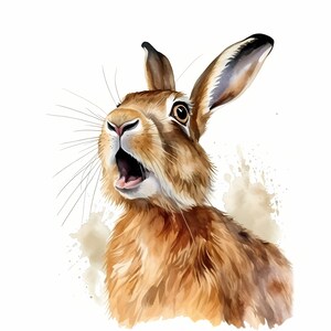 Surprised Hare, Shocked Rabbit, Forest Animal Watercolor Clipart Set ...
