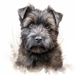Bouvier Des Flandres Dog Clipart, Puppy Dog Images, 10 Watercolor Clip ...