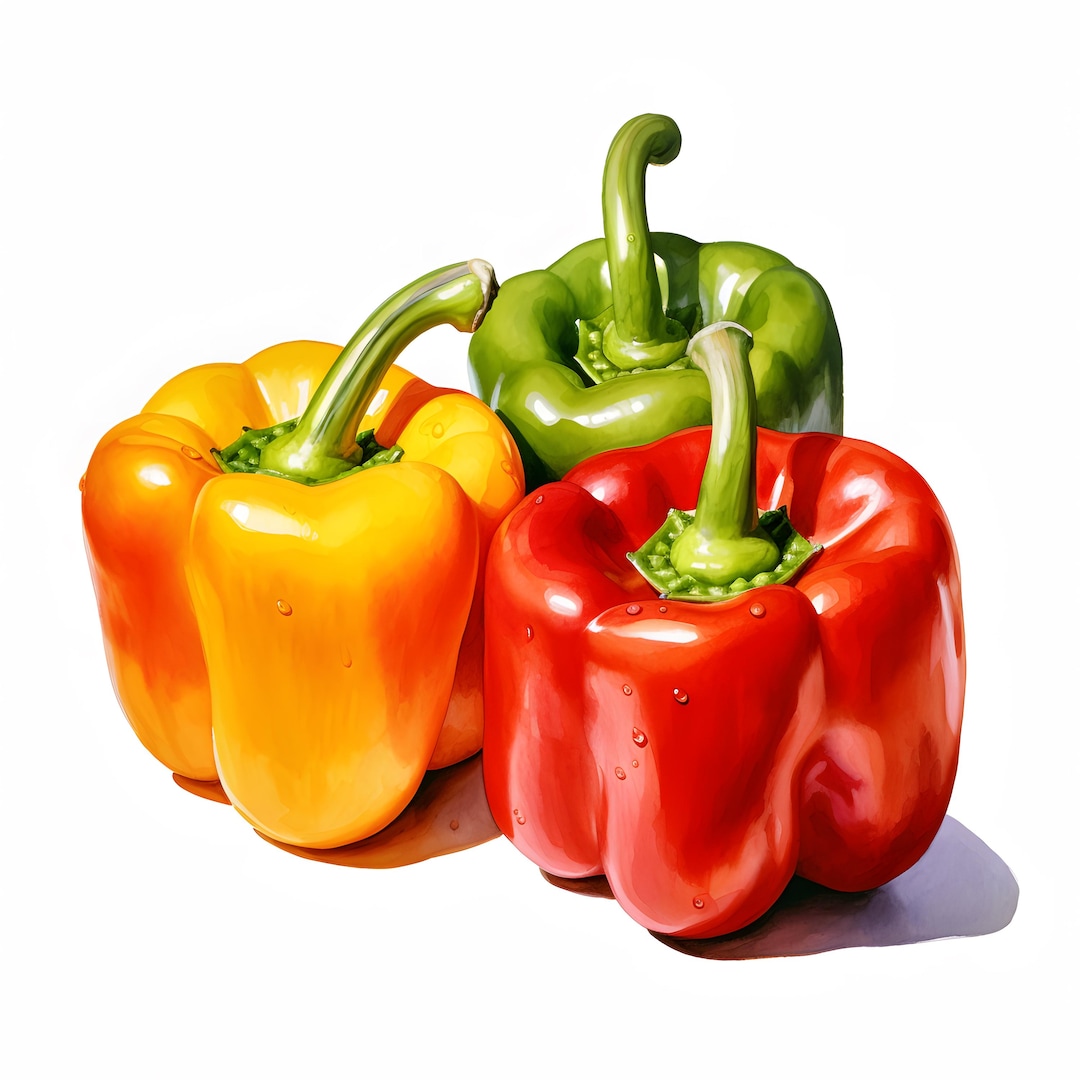 Bell Peppers Clipart, Rainbow Sweet Peppers Images, 10 Watercolor Clip ...