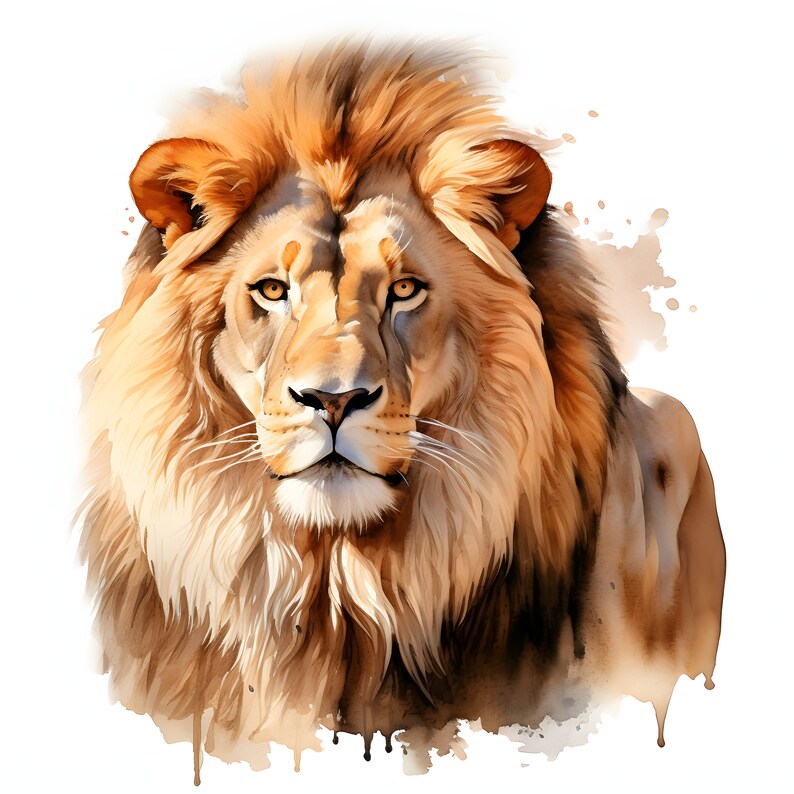 Watercolor Lion Clipart: African Animal Art (JPG Digital Download) - Etsy